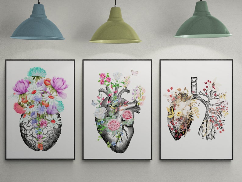 Medical Anatomy Art Prints Medical Office Wall Decor Nurse - Etsy