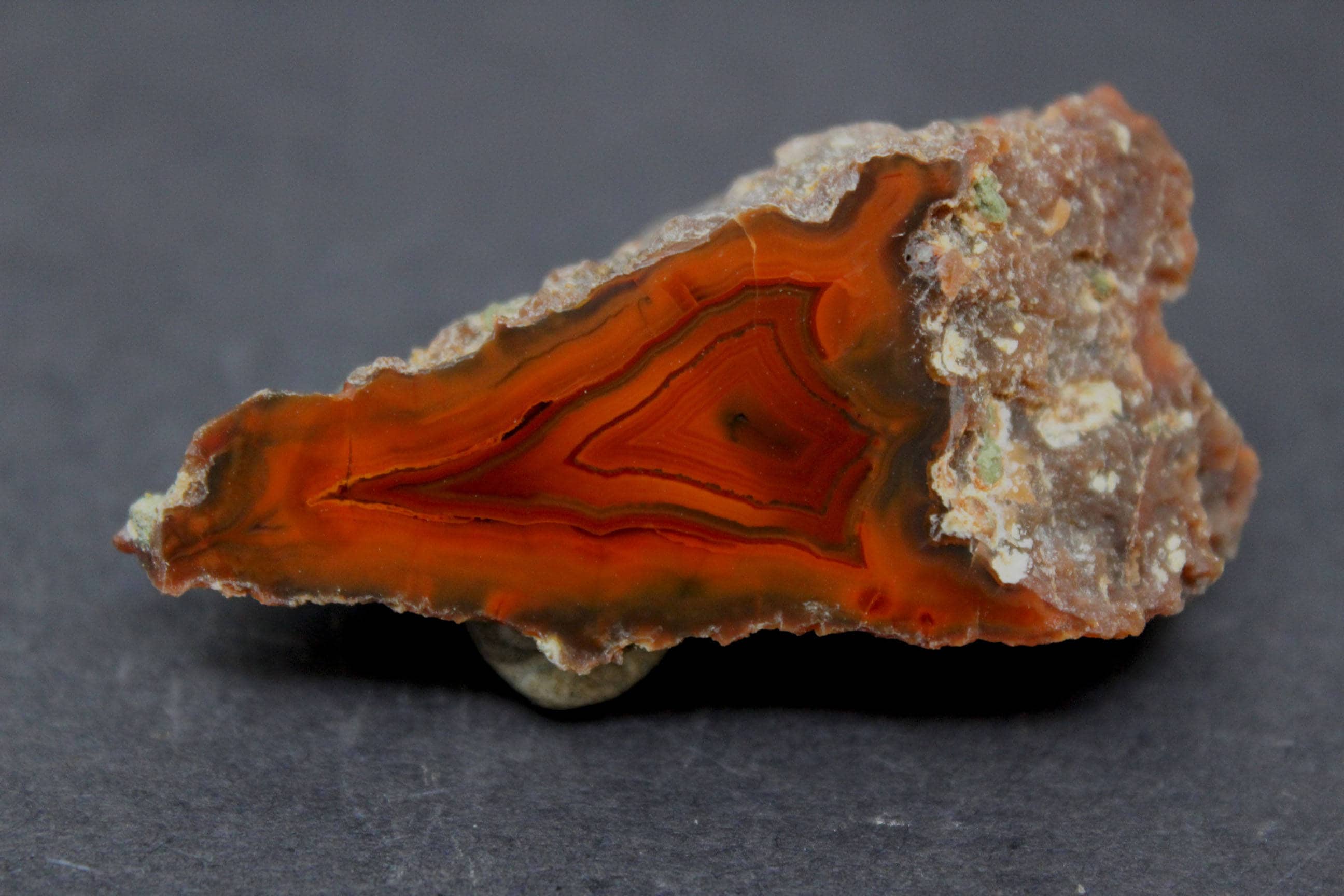 Condor Agate Rough, 2 Pounds, Direct From the Mine ! Jewelry Grade - Etsy