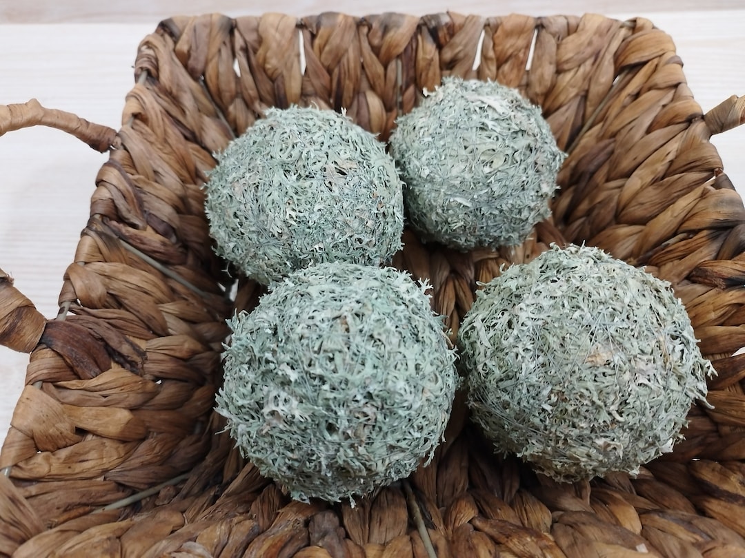 Decorative Lichen Balls for Bowl Fillers, Table Centerpiece, Set of 4 ...
