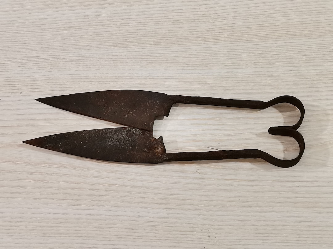 Scissors for Shearing Sheep, Old Metal Wool Scissors, Antique Sheep ...