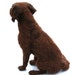 Needle Felted Wool Sculpture of a Chocolate Labrador Retriever (lab) - Etsy