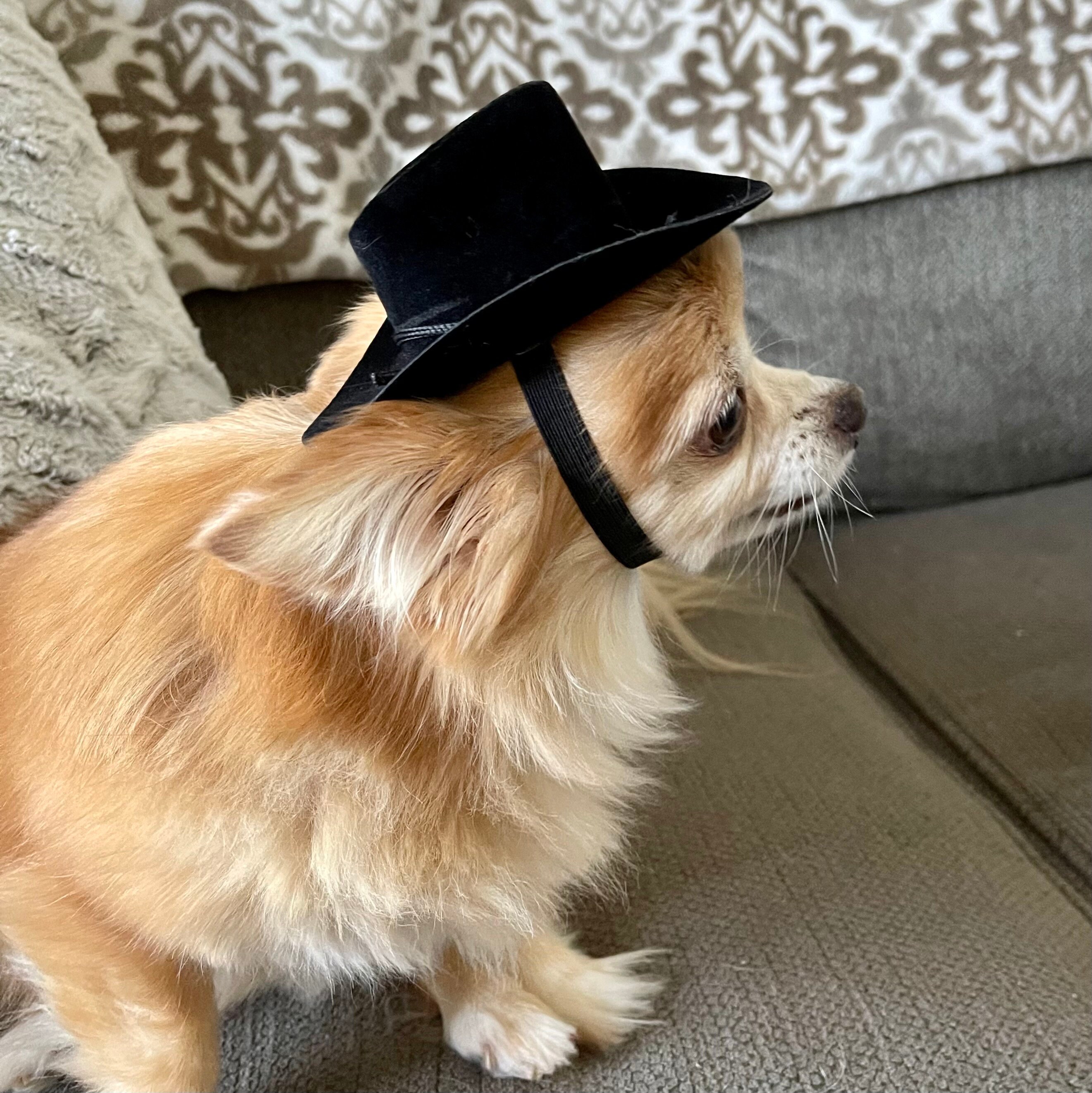 Small Cowboy Hat for Dogs and Cats - Etsy