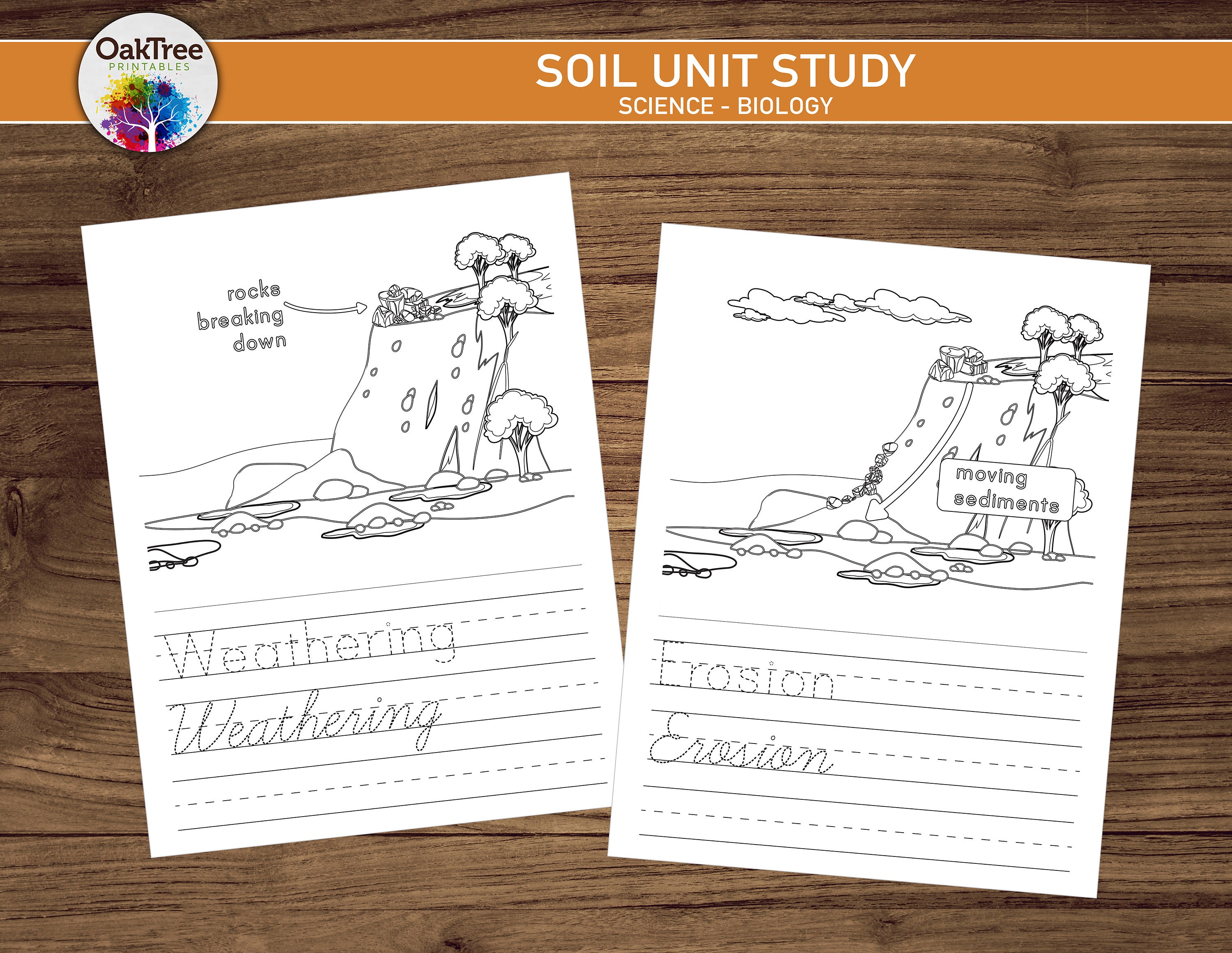 Soil Unit Study Bundle, Homeschool, School at Home, Montessori Inspired ...