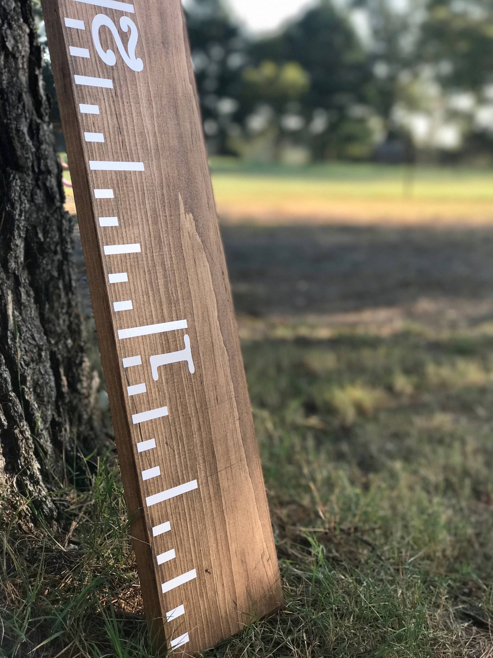 DIY Vinyl Growth Chart Decals 6' // Pick Your Color // - Etsy