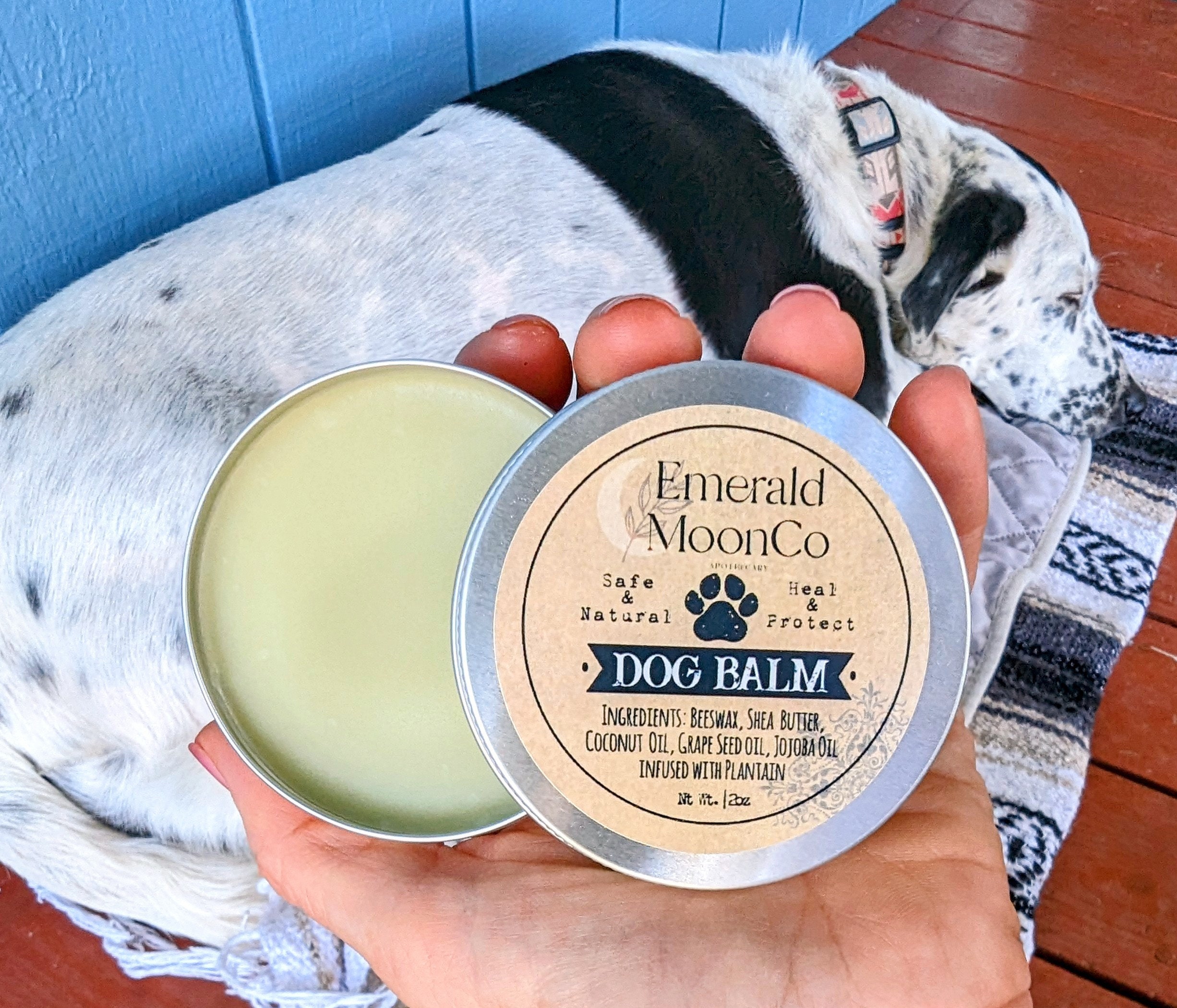Dog Balm - Etsy