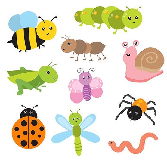 Cute Bugs Vector Digital Clipart Instant Download EPS, PNG Files ...