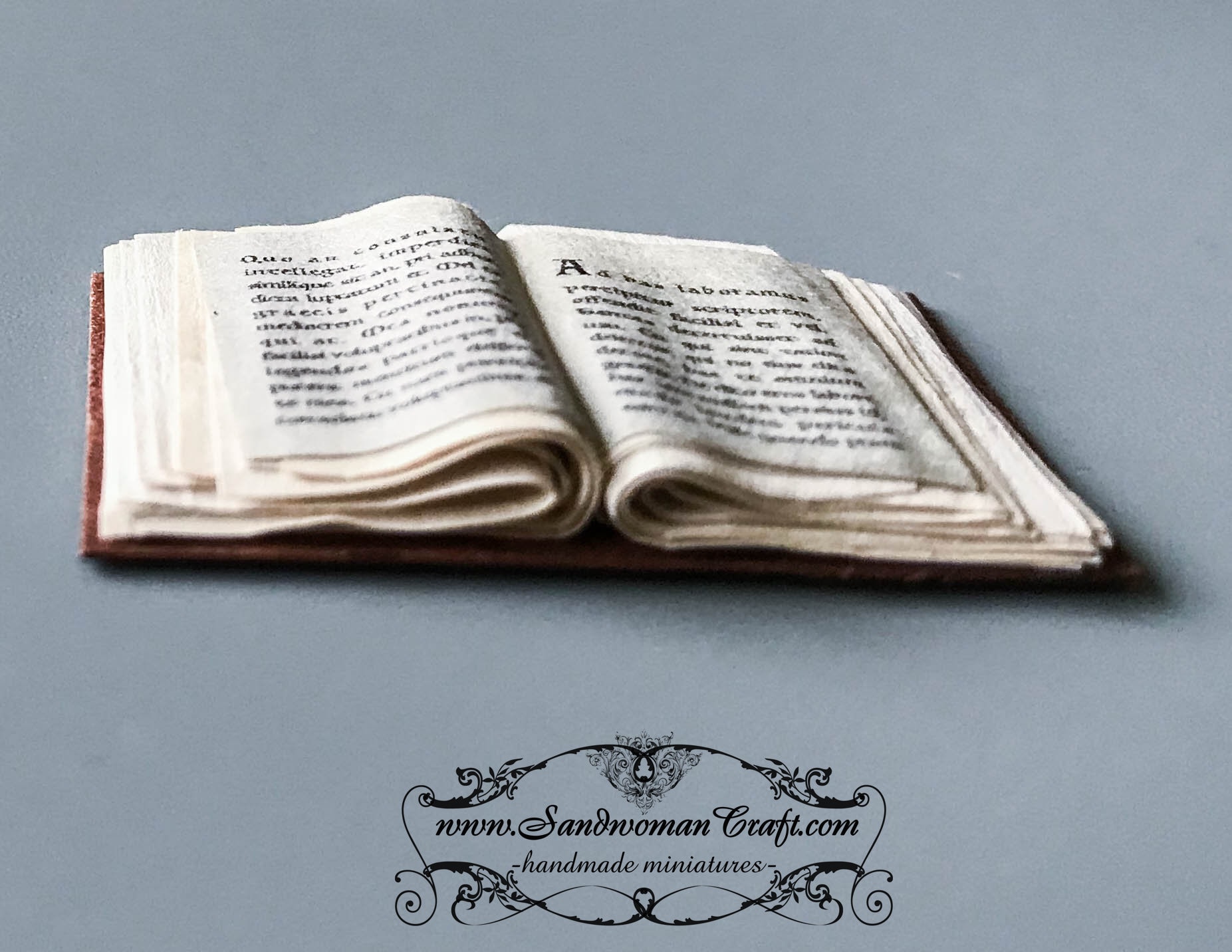 Miniature Tiny Open Book-dollhouse Miniatures-tiny Little Mini | Etsy