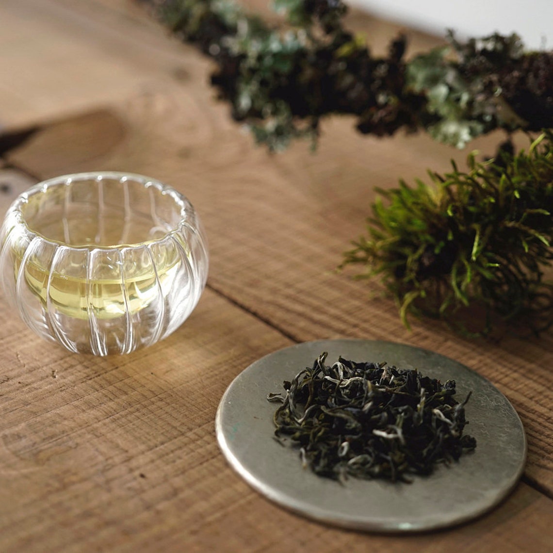 Wolf Tea Moss Exclusive Canister / Tea Collection Biluochun | Etsy