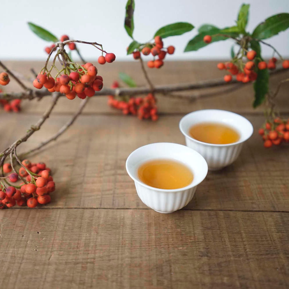 Wolf Tea Pink Canister / Tea Collection Honey Scented Black - Etsy