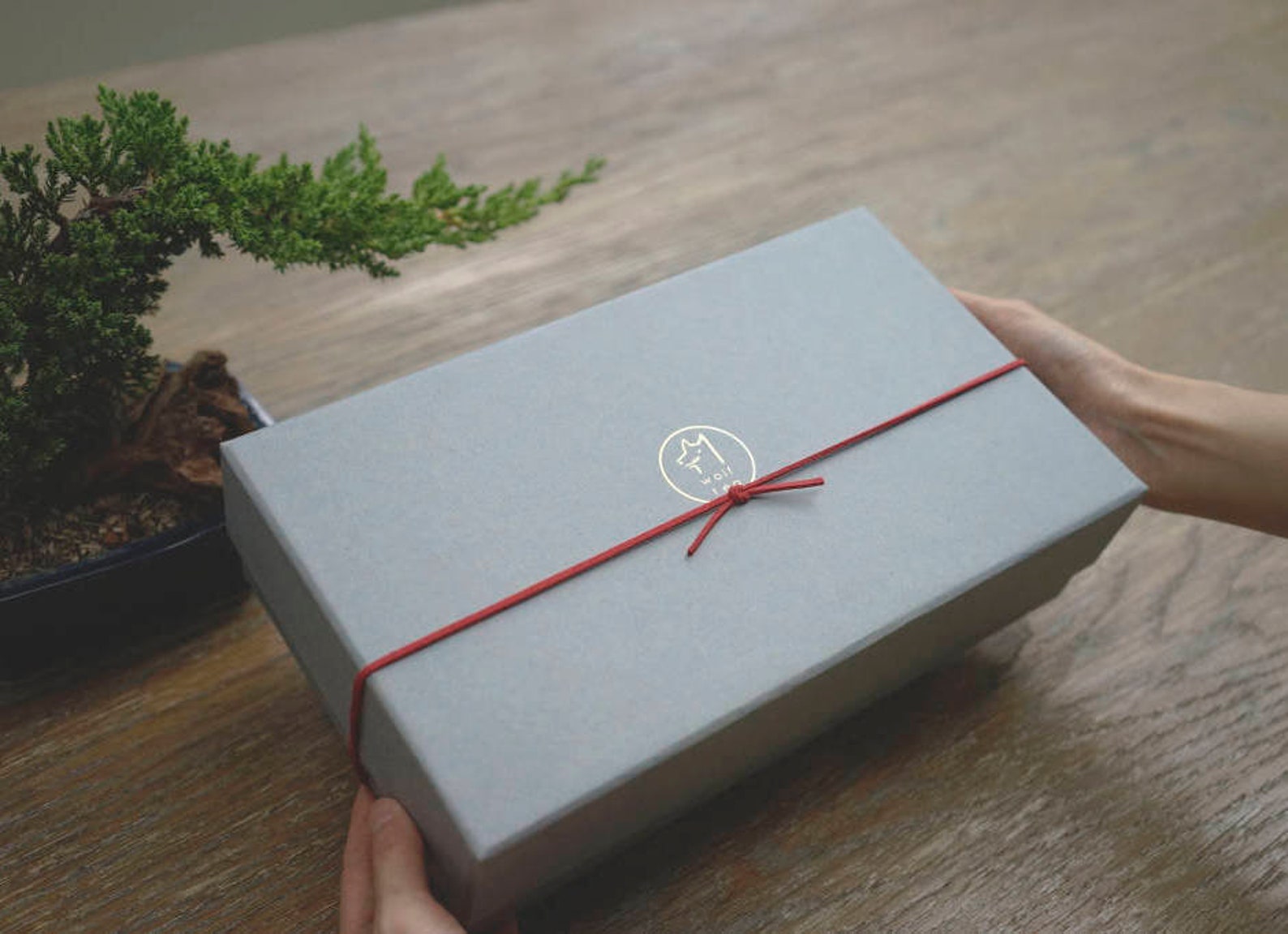 Premium Tea Gift Set / Trio Tea Canisters / Tea Caddy Gift Set - Etsy