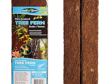 Tree Fern Board - Etsy