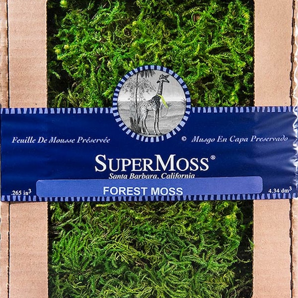 Preserved Moss - Etsy