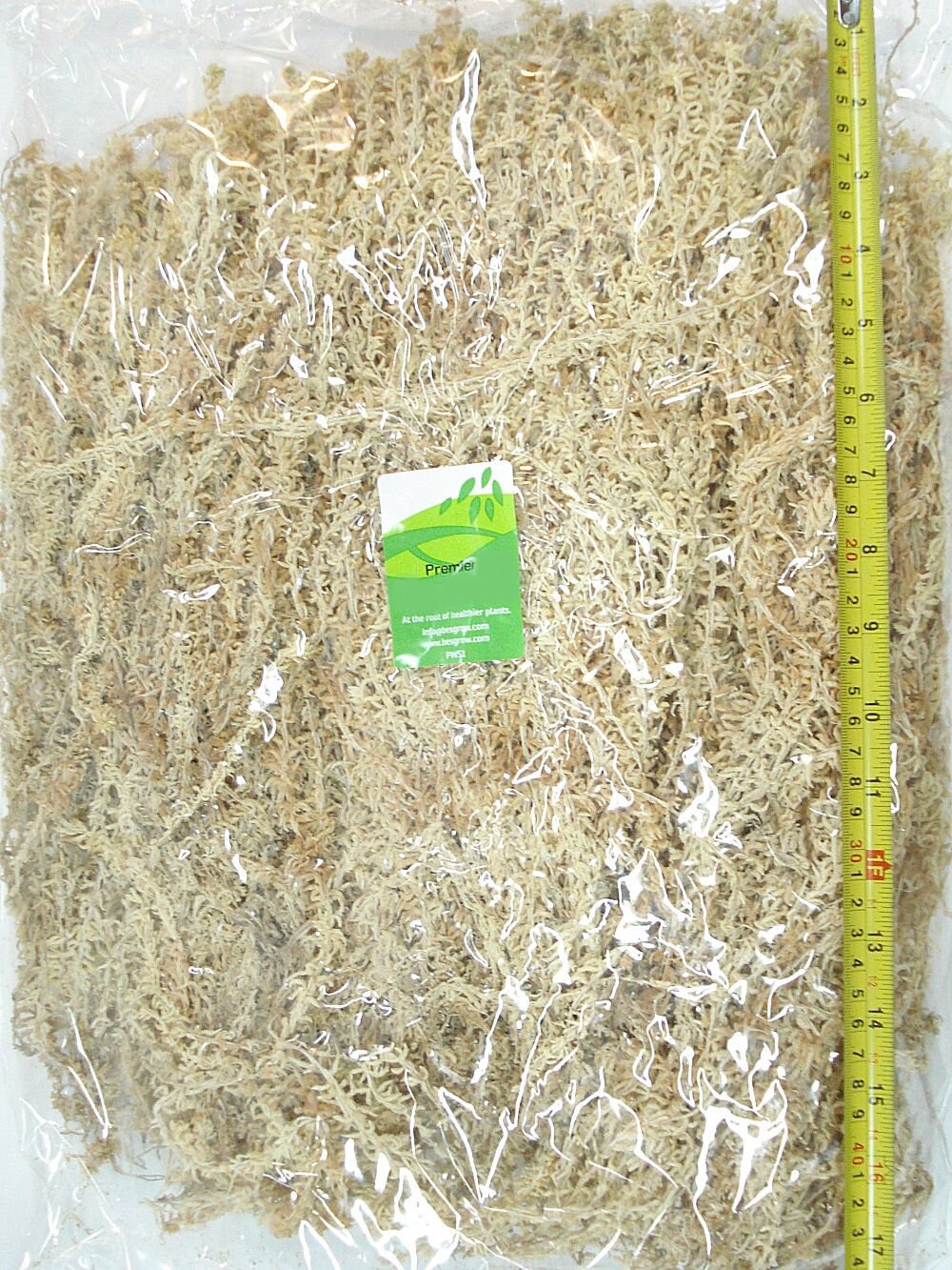 New Zealand Premium Long Strand Moss for Neofinetia Falcata - Etsy