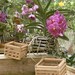 Better-gro Cedar Slat Vanda Basket 10 Inch Square - Etsy
