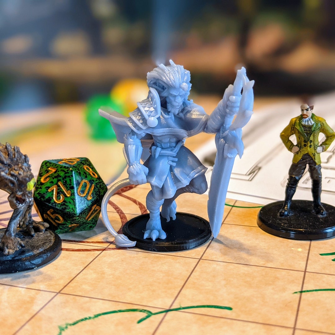 Resin Catfolk Barbarian Miniature: RPG Tabaxi for Tabletop Games - Etsy