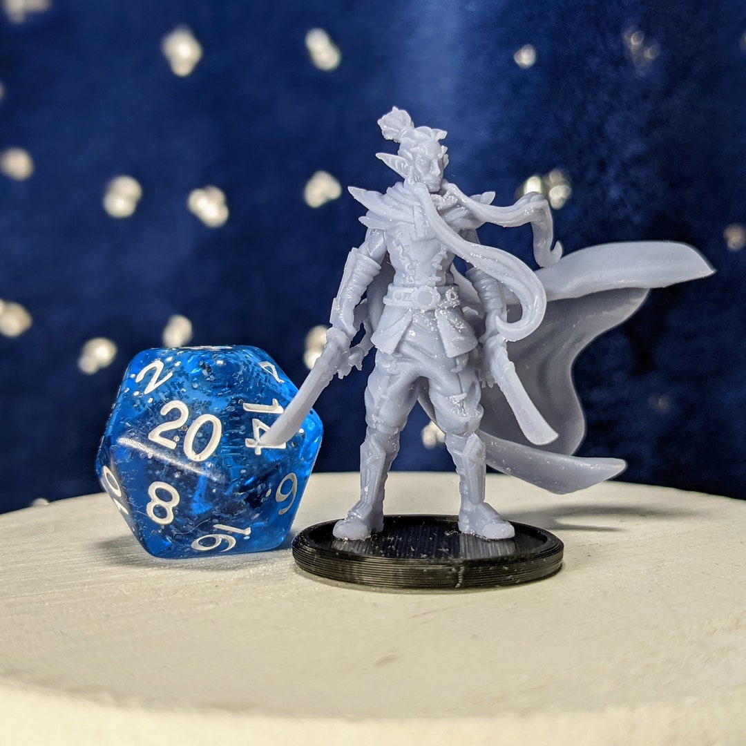 Elven Bladesinger Miniature: 3D Resin Printed RPG Spellcaster - Etsy