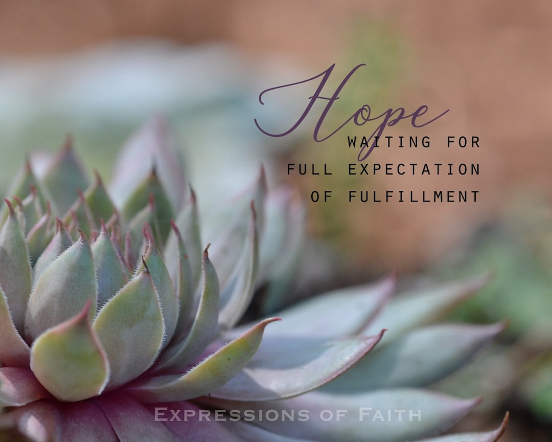 Inspirational Succulent Wall Art, Bible Verse Wall Art, Christian ...