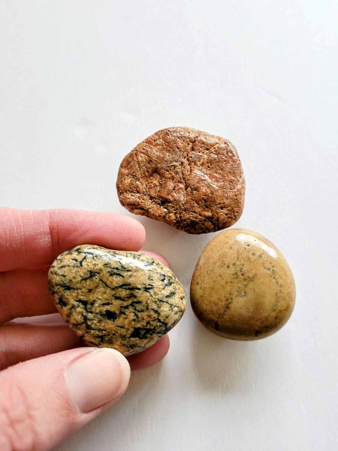 Beach Rock Refrigerator Magnets, Set of 4 Beach Stone Magnets From Lake ...
