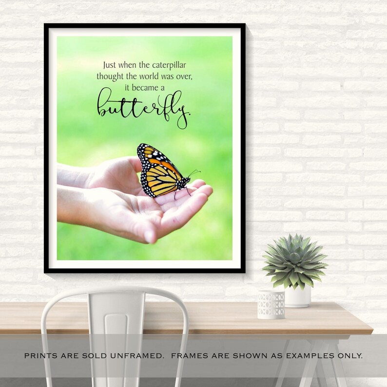 Inspirational Butterfly Wall Art, Fine Art Photography, Caterpillar to ...
