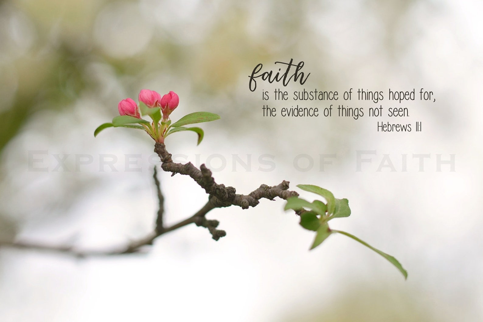 Faith is the Substance, Scripture Print, Bible Verse Plaque, Christian ...