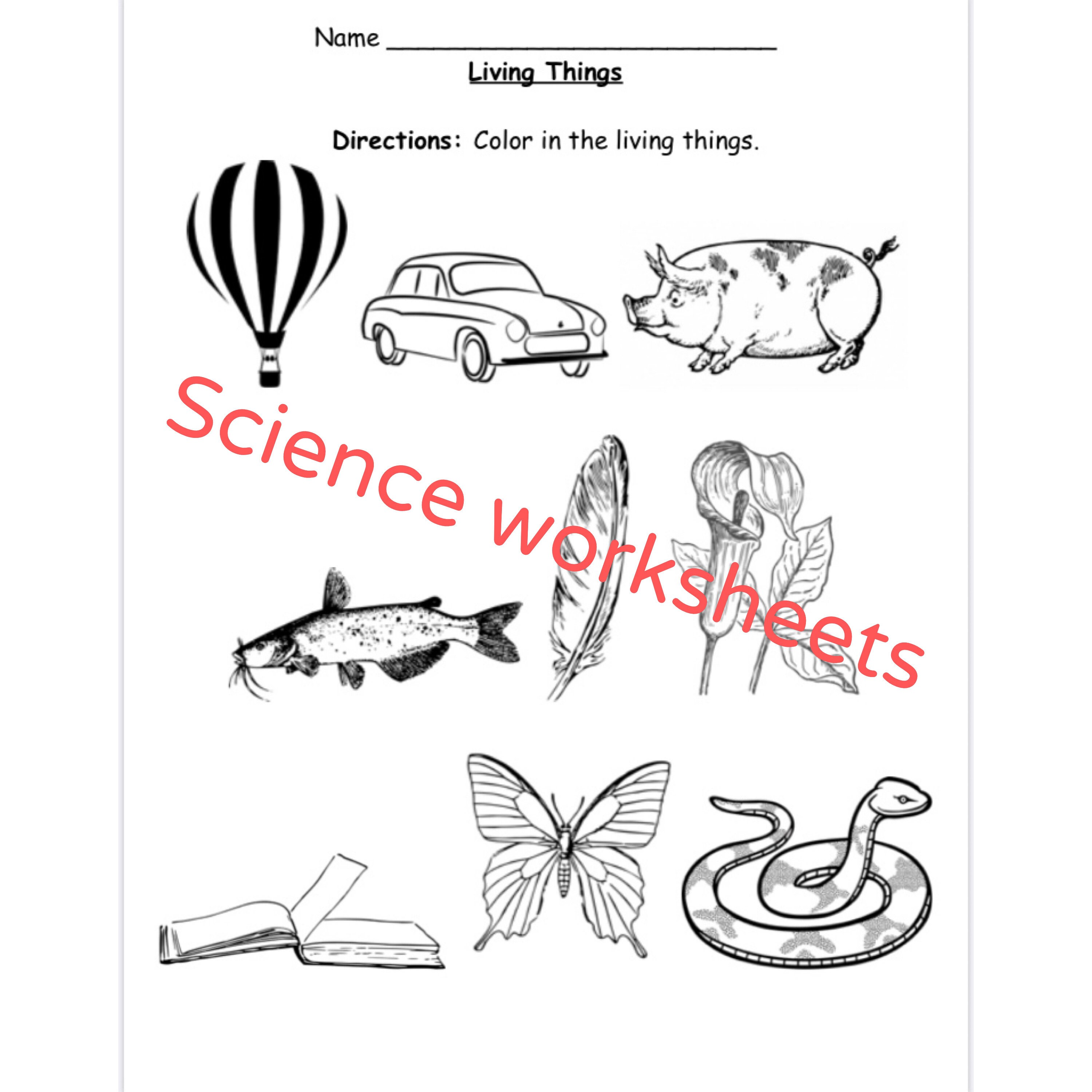 Living/non-living Science Packet, Preschool, Kindergarten, First Grade ...