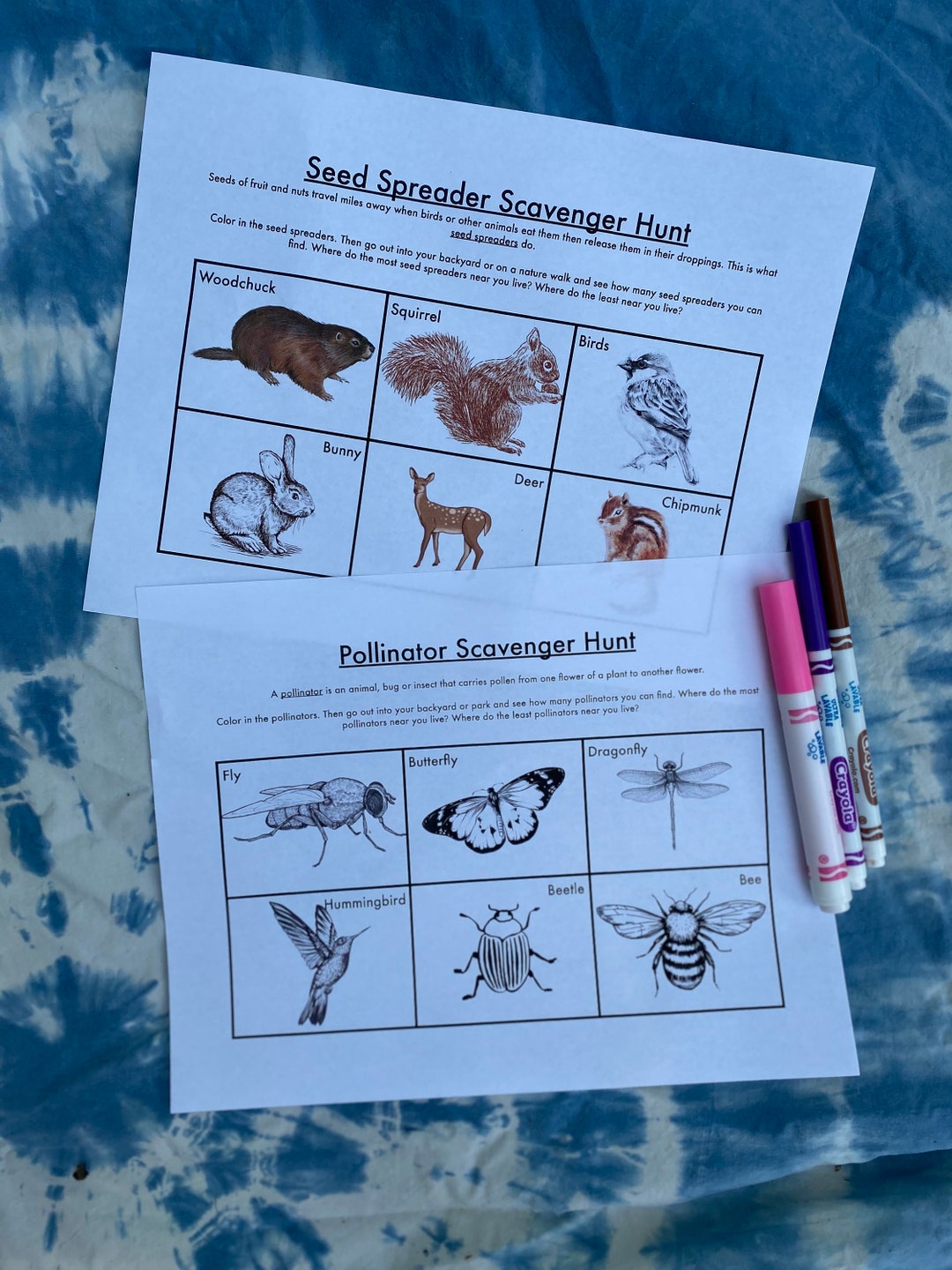 Flower Packet, Preschool, Kindergarten, First Grade Flower Curriculum ...