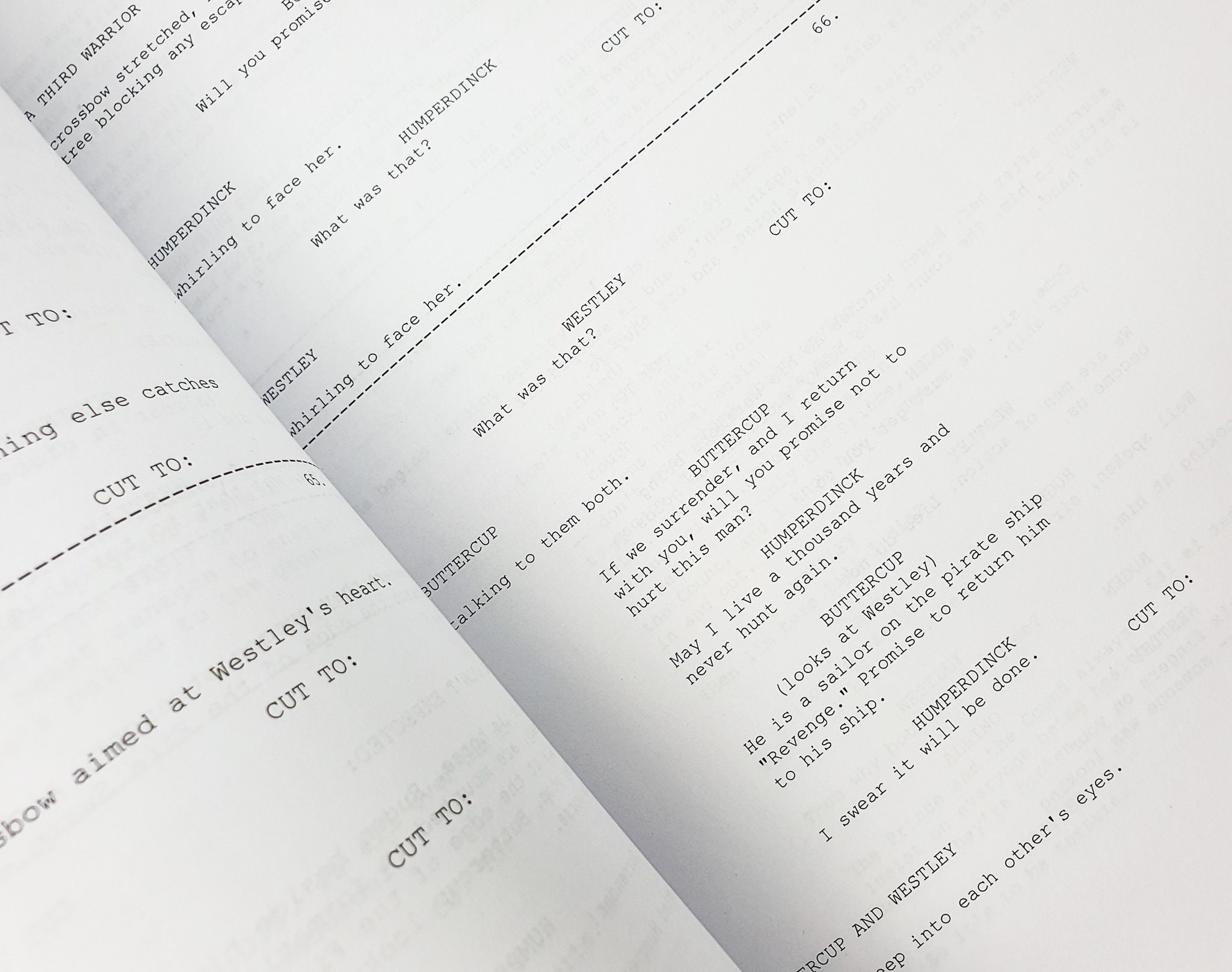 The Princess Bride Film Movie Script Screenplay With | Etsy