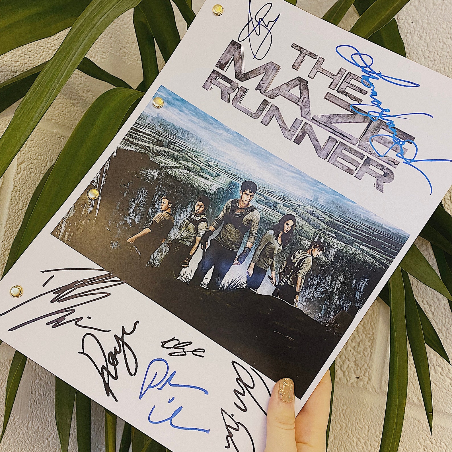 The Maze Runner Movie Film Script Screenplay With Signature - Etsy