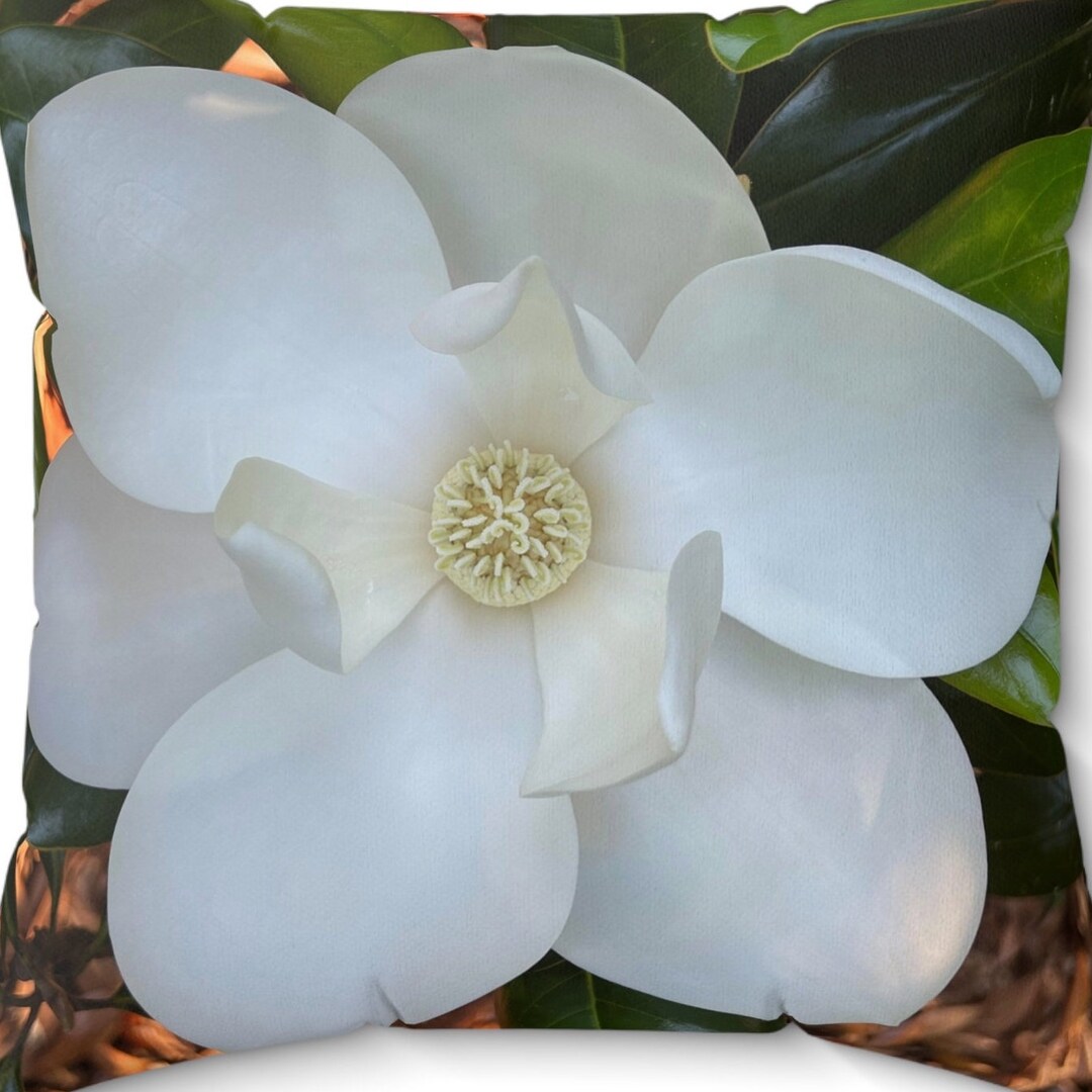 Magnolia Flower Pillow, Sq. Pillows, 4 Szs., Southern Magnolia Pillows ...