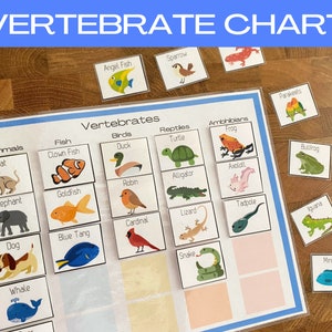 Vertebrate Classification Chart: Animal Cards, Homeschool Printable ...