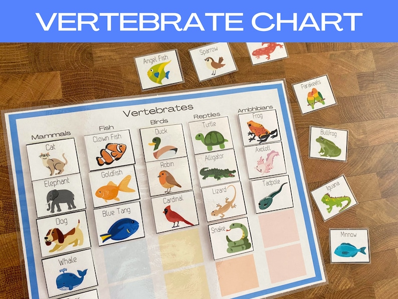 Vertebrate Classification Chart: Animal Cards, Homeschool Printable ...