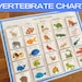Vertebrate Classification Chart: Animal Cards, Homeschool Printable ...