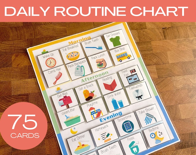 Daily Visual Routine Chart With Cards Morning Afternoon Evening ...