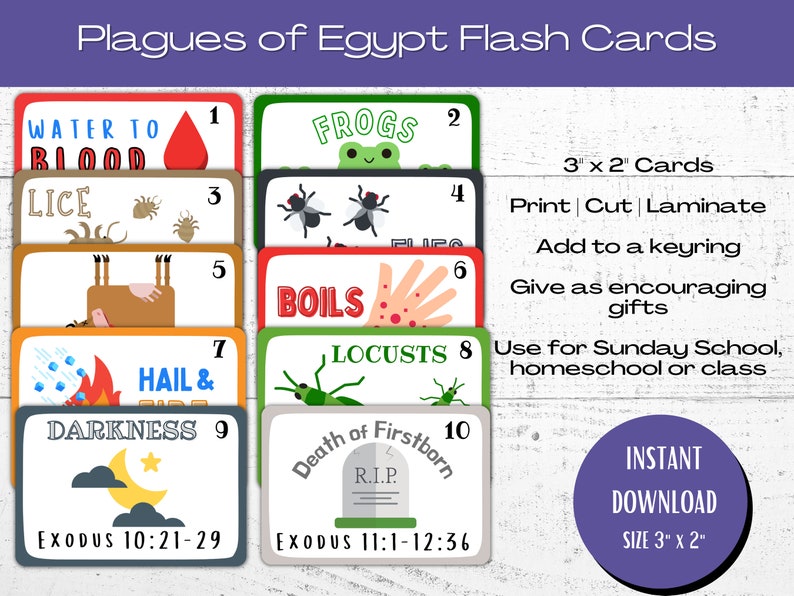 Plagues of Egypt Flash Cards: Scripture Memorization for Kids (PDF) - Etsy