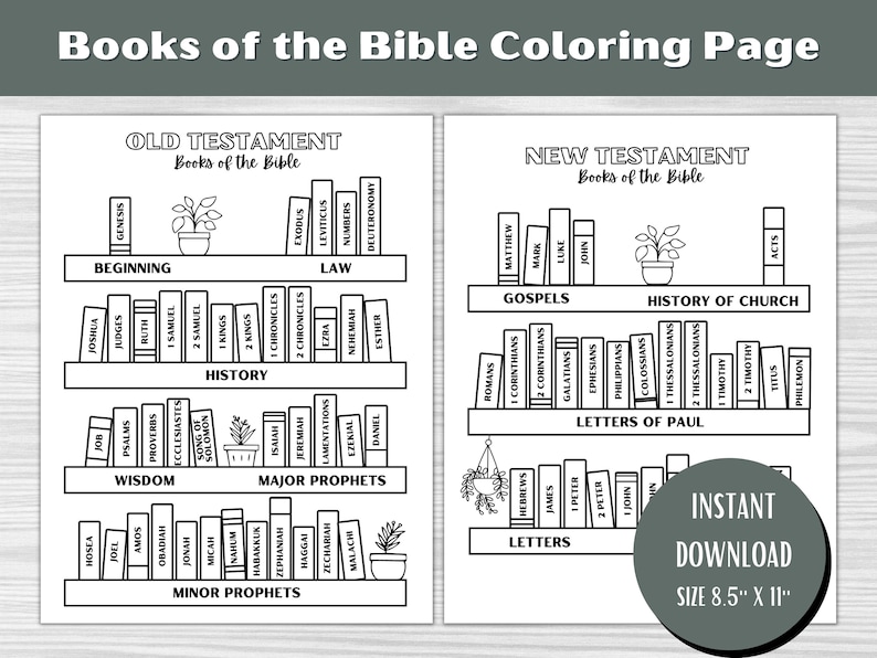 BOOKS of the BIBLE PRINTABLE Books of the Bible Coloring - Etsy