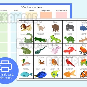 CLASSIFICATION of ANIMALS VERTEBRATES, Vertebrate Cards and Chart ...