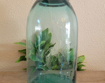 Tall Narrow Glass Canning Jars - Etsy