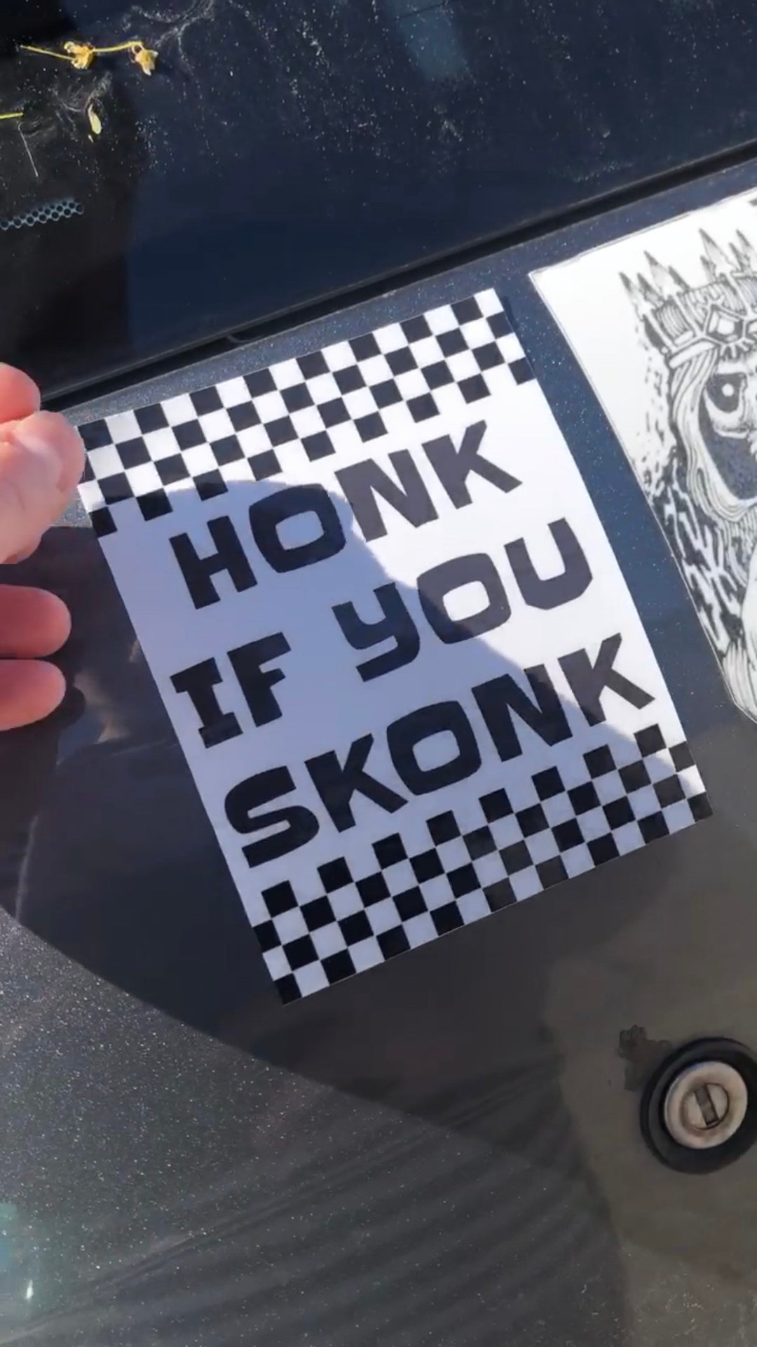 Honk If You Skonk - Etsy