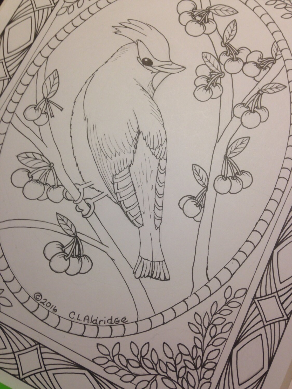 The Songbird Series Coloring Pages Painted Bunting | Etsy