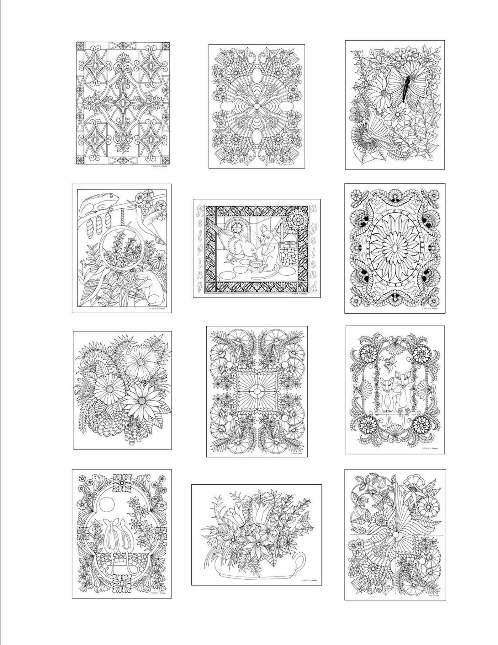 Fantasy Flower Garden - Adult Coloring Book of Fantastic Flowers and ...