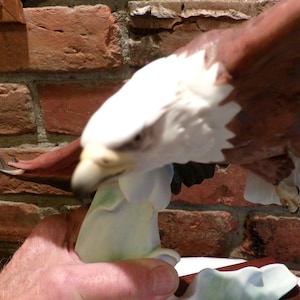 Kaiser Germany Bisque Porcelain Figurine bald Eagle Hand Painted ...