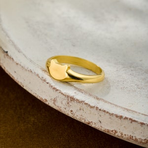 Sterling Silver Cat Signet Ring , Cat Lover Ring , Crazy Cat Lady Ring ...