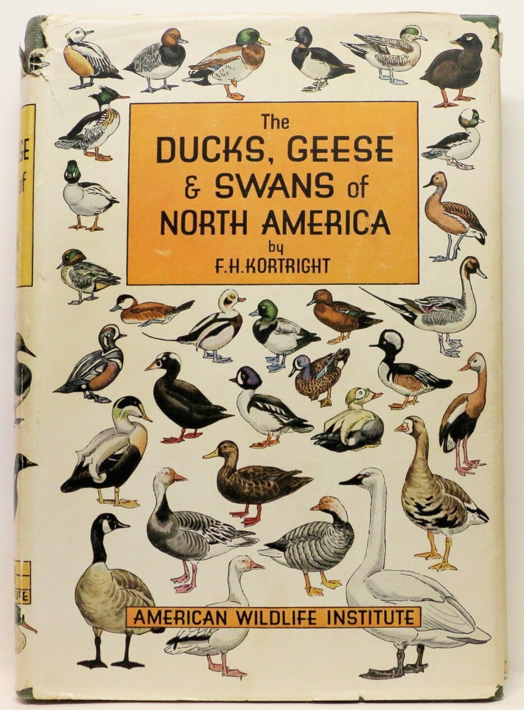 The Ducks, Geese and Swans of North America by FRANCIS H. KORTRIGHT ...