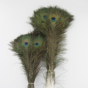 Fake Peacock Feather Etsy UK
