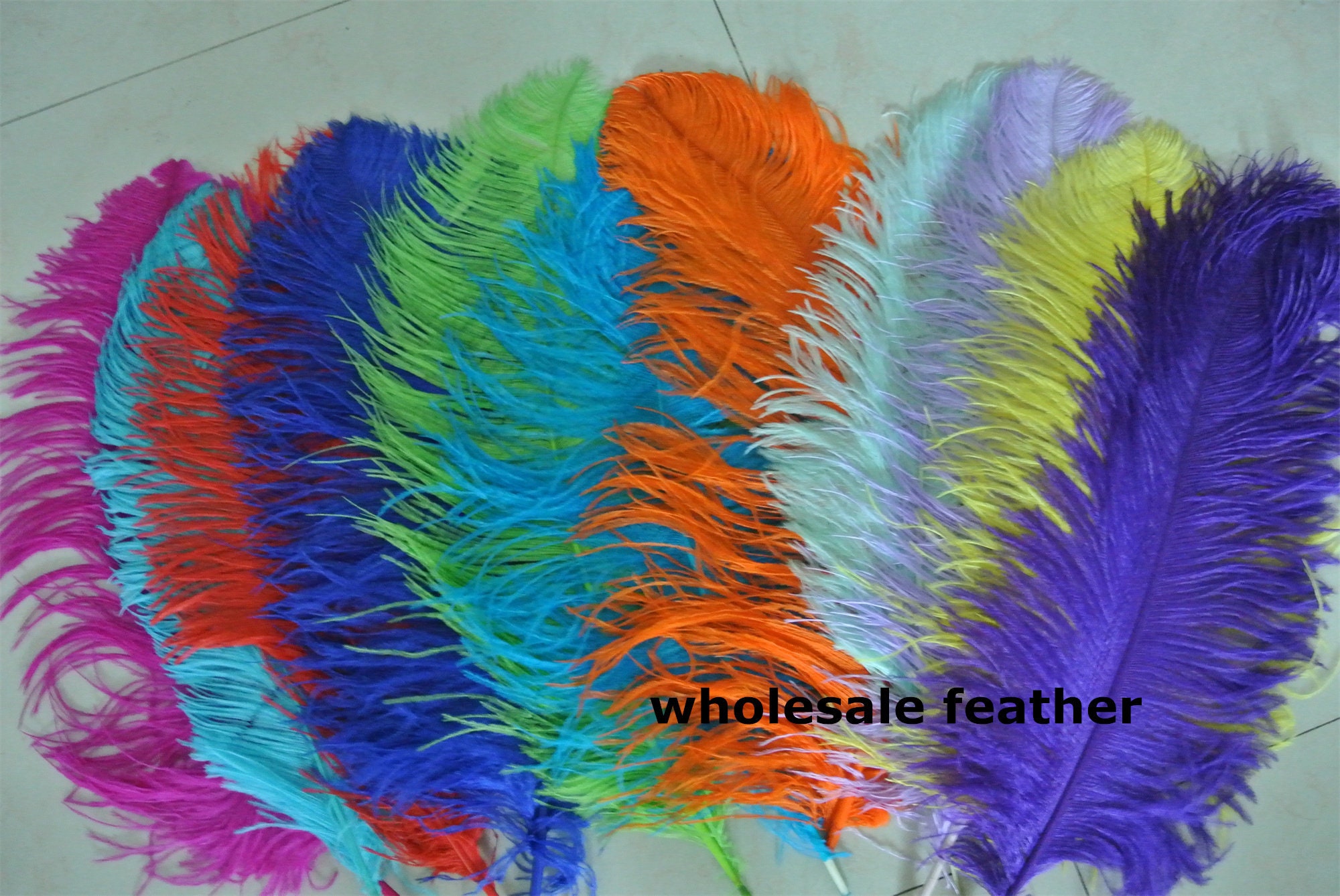 Colorful feathers for sale store