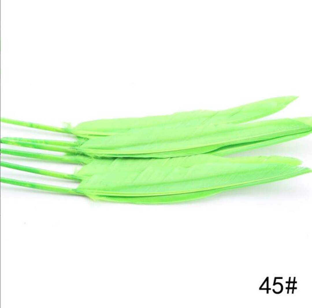 8 Colors 100 Pcs Lime Green Pheasant Ringneck Feather Turkey Quill ...