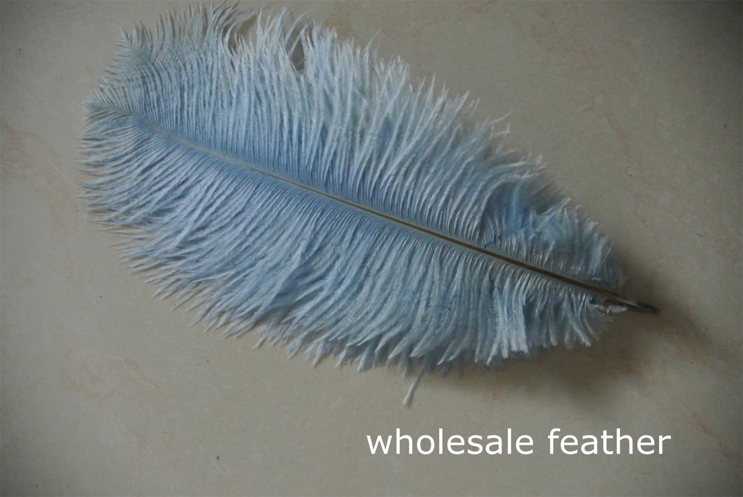 50 Pcs Light Blue Baby Blue Ostrich Feather Plumes for Wedding ...
