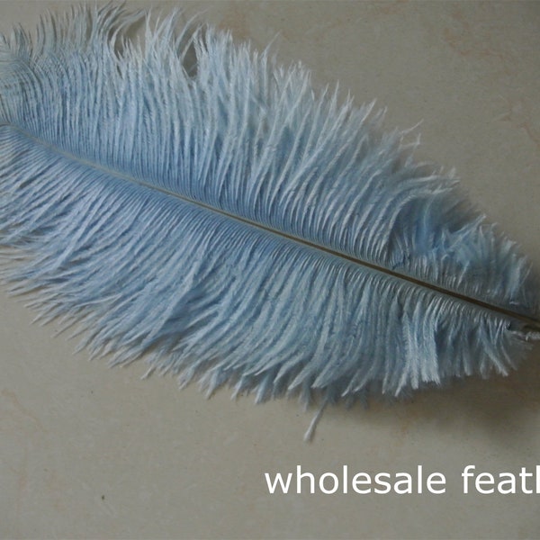 Light Blue Feathers - Etsy