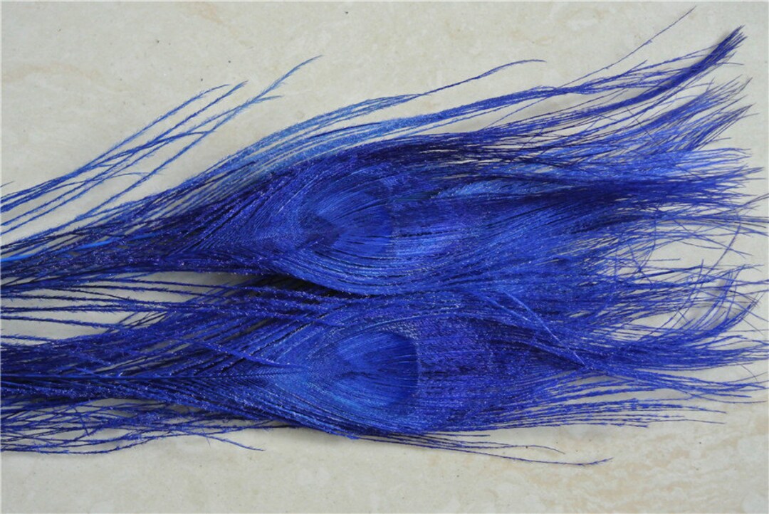 100 Pcs Royal Blue Peacock Feather for Crafts Hat Decor Peacock Tail ...