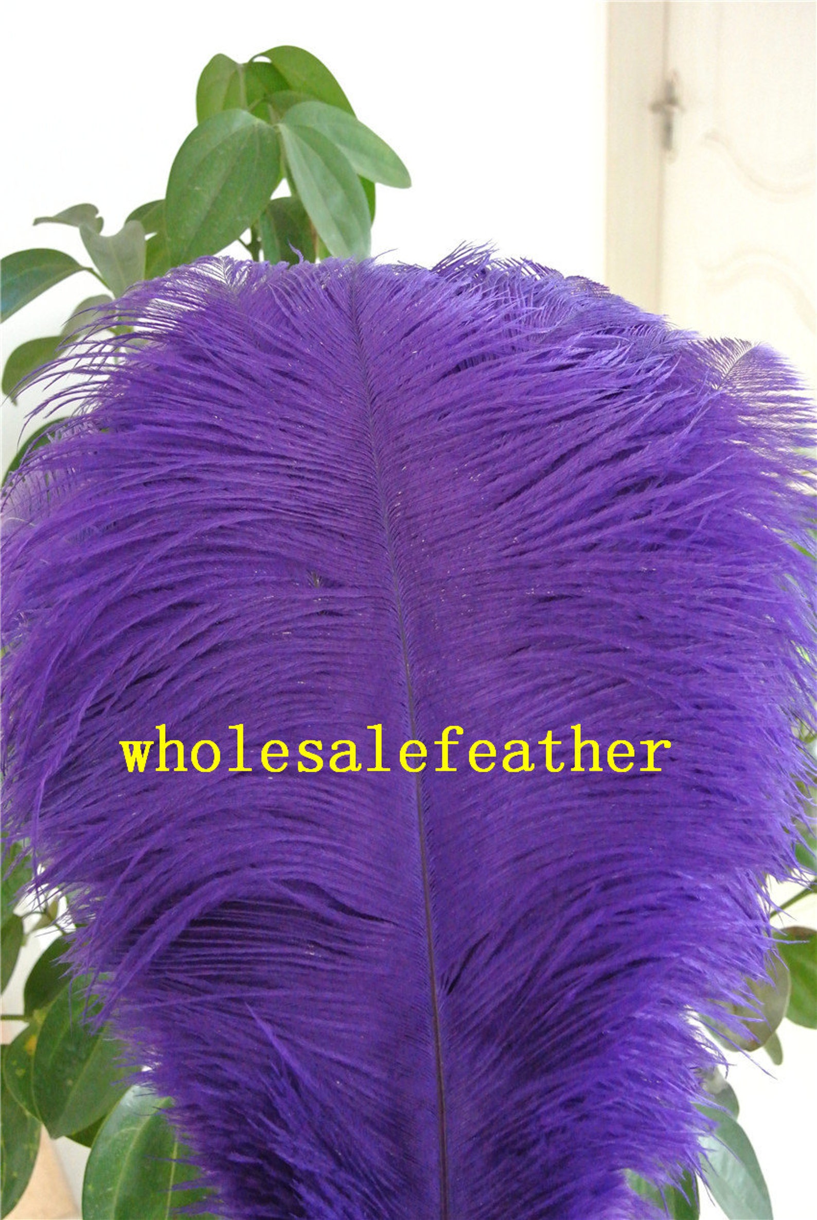 100 Pcs Purple Ostrich Feather Plumes for Wedding Centerpieces - Etsy
